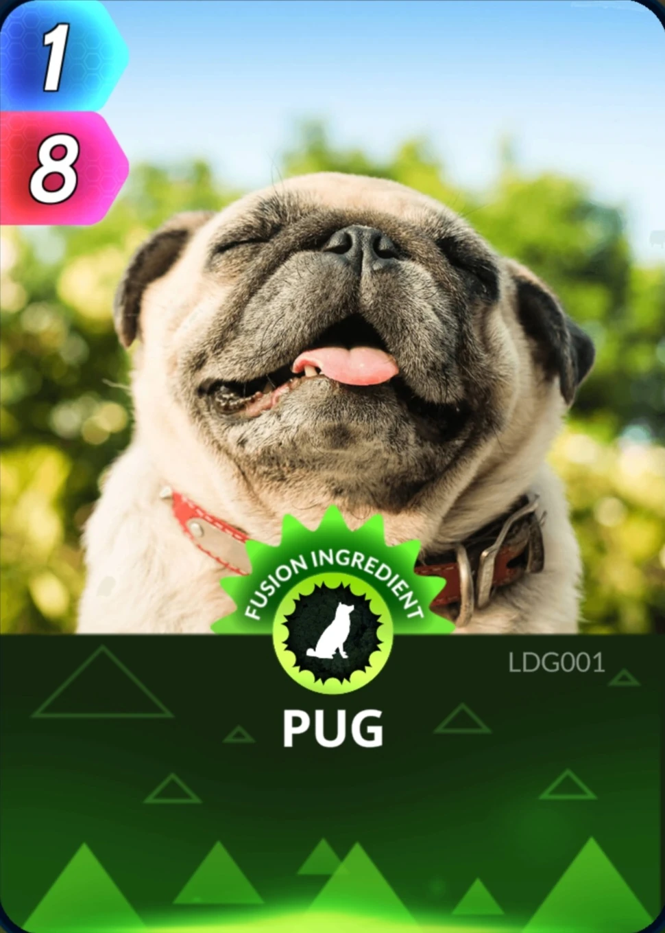 Pug | Cards, the Universe and Everything Wiki | Fandom