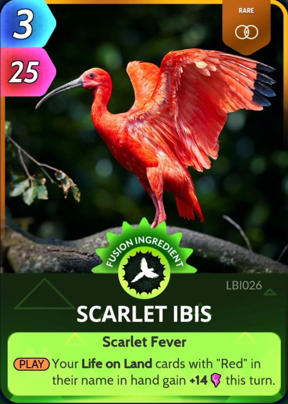 Scarlet Ibis | Cards, the Universe and Everything Wiki | Fandom