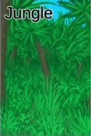 Locations - Jungle | Card Survival Wiki | Fandom