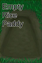 Rice Paddy | Card Survival Wiki | Fandom