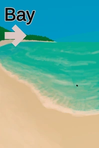 Bay | Card Survival Wiki | Fandom