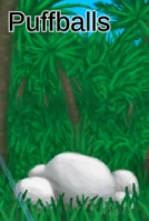 Puffballs | Card Survival Wiki | Fandom