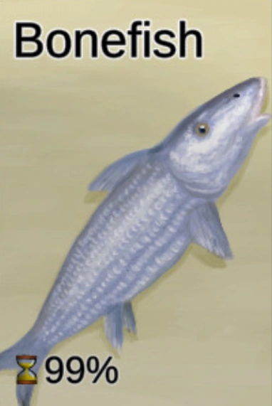 Fish | Card Survival Wiki | Fandom