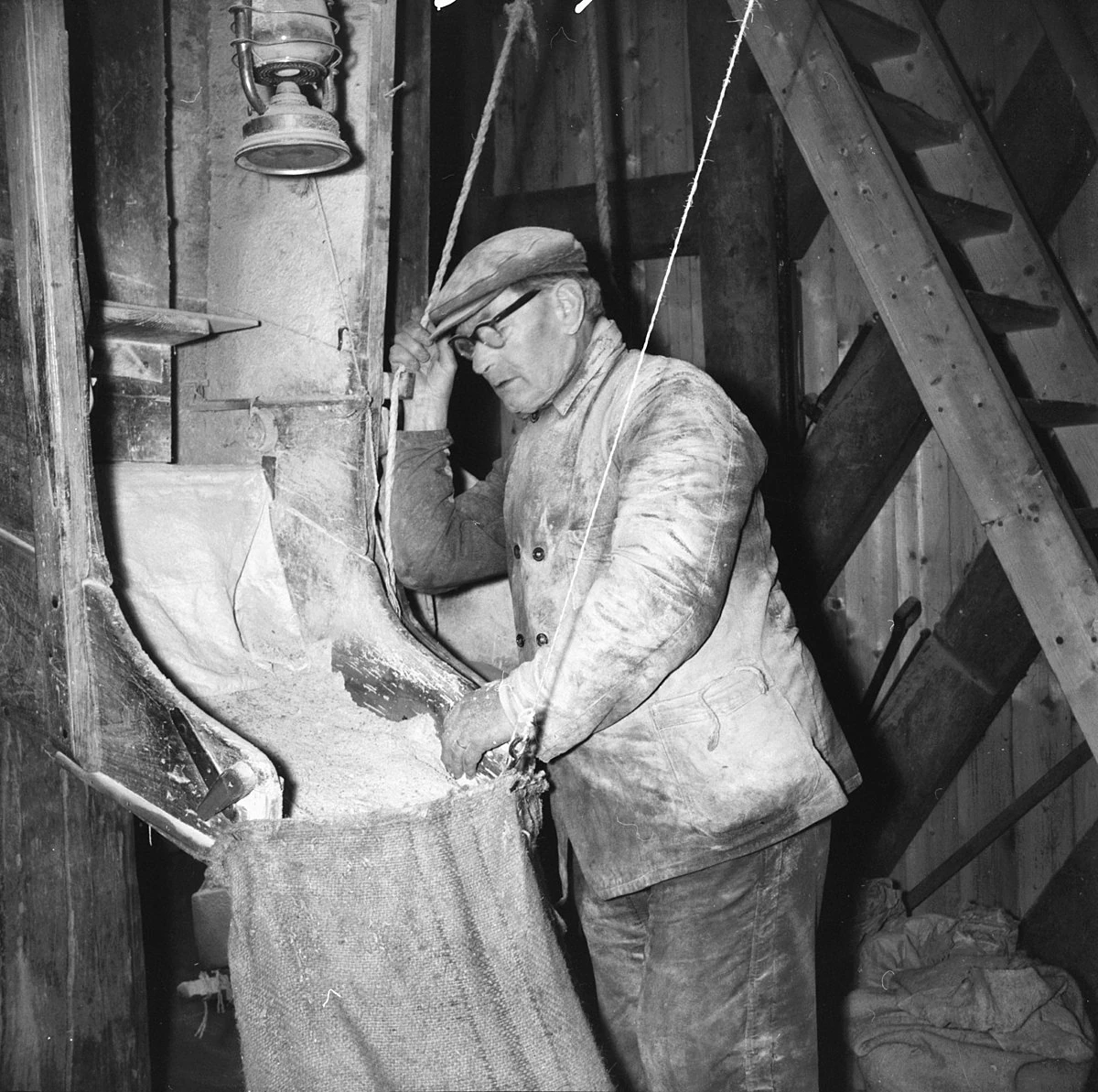 Miller | Career Wiki | Fandom