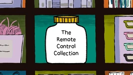 The Remote Control Collection | Carl the Collector Wiki | Fandom
