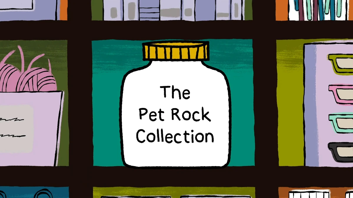 The Pet Rock Collection | Carl the Collector Wiki | Fandom