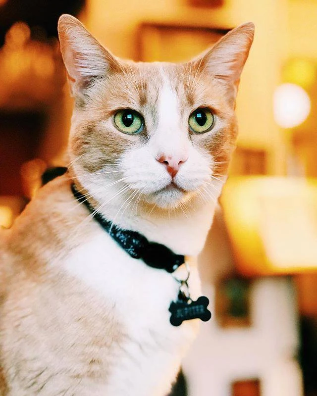 Jupiter | Carly Rae Jepsen Wiki | Fandom