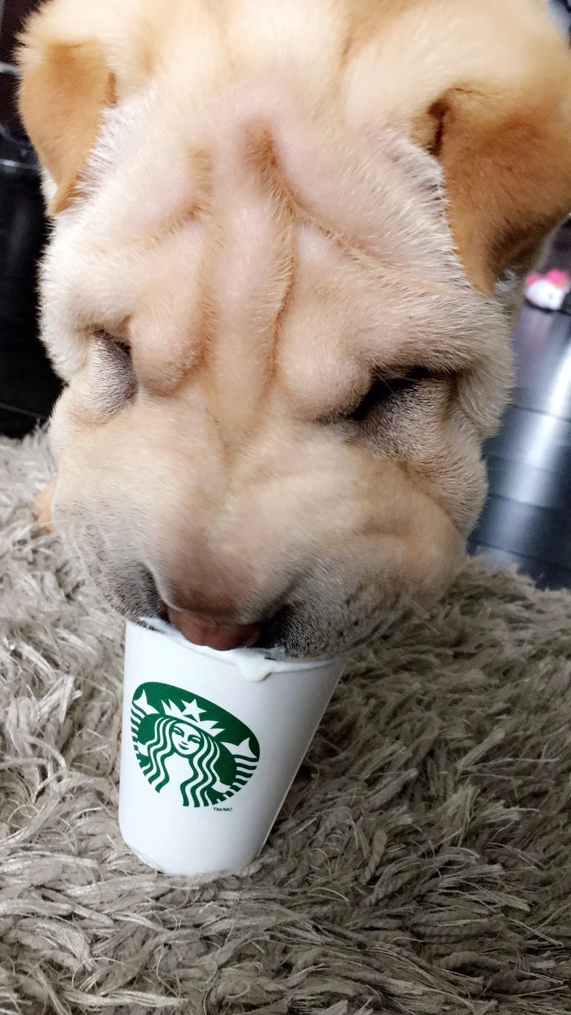 Franklin/Gallery | Carmen King Wiki | Fandom