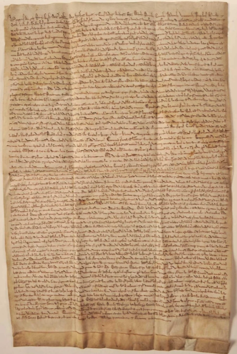 Magna Carta | Carmen Sandiego Wiki | Fandom