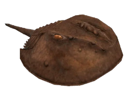 Lunataspis | Carnivores Continuum Wiki | Fandom
