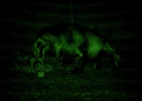 Moschops | Carnivores Continuum Wiki | Fandom