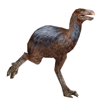 Diatryma | Carnivores Continuum Wiki | Fandom