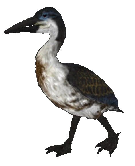 Ichthyornis | Carnivores Continuum Wiki | Fandom