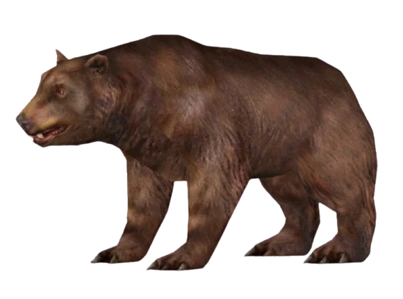 Bear | Carnivores Continuum Wiki | Fandom
