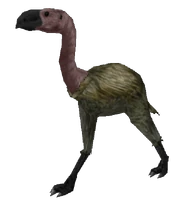 Carnivores: Cazador | Carnivores Continuum Wiki | Fandom