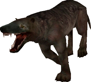 Hyaenodon | Carnivores Continuum Wiki | Fandom