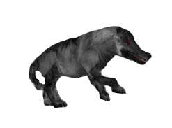 Didelphodon | Carnivores Download Database | Fandom