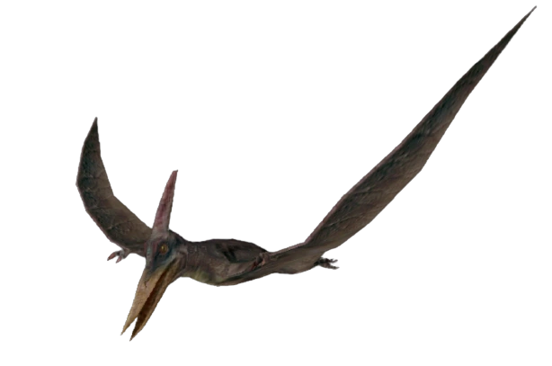 Pteranodon longiceps | Carnivores Download Database | Fandom