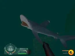 Shark! Hunting the Great White | Wiki Carnivores | Fandom