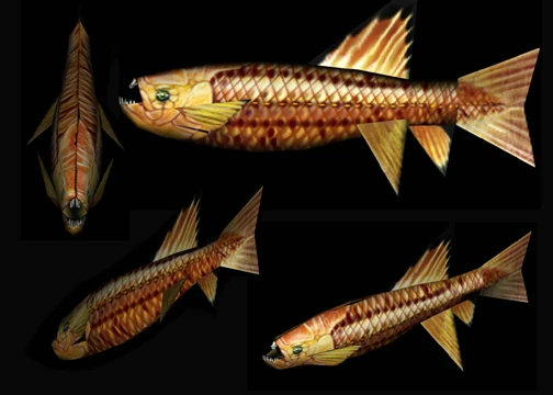 Leptolepis | Carnivores Wiki | Fandom
