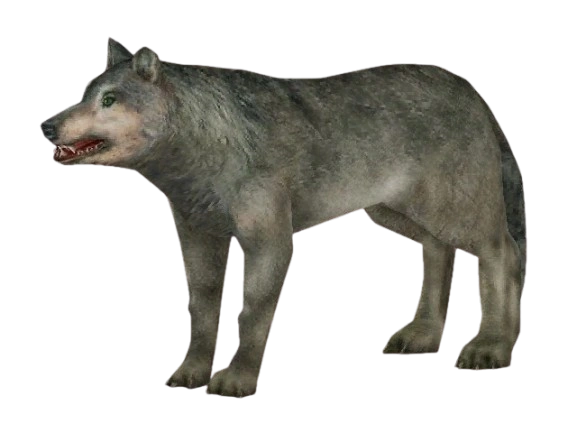 Lobo | Wiki Carnivores | Fandom