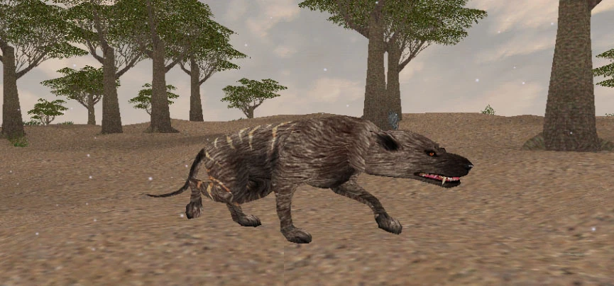 Hyaenodon | Carnivores Wiki | Fandom