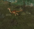 Gallimimus - Carnivores Wiki