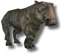 Pig - Carnivores Wiki