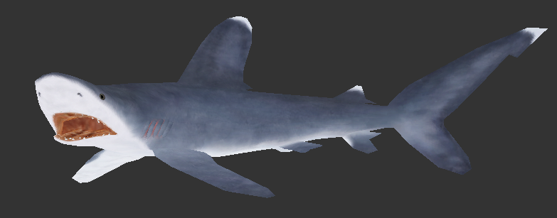 Oceanic Whitetip - Carnivores Wiki