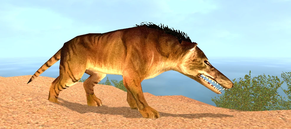 andrewsarchus pictures