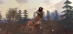 Carnivores Ice Age Smilodon