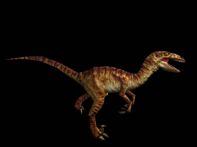 Carnivores Dinosaur Hunter Raptor