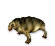 Мосхопс | Carnivores вики | Fandom