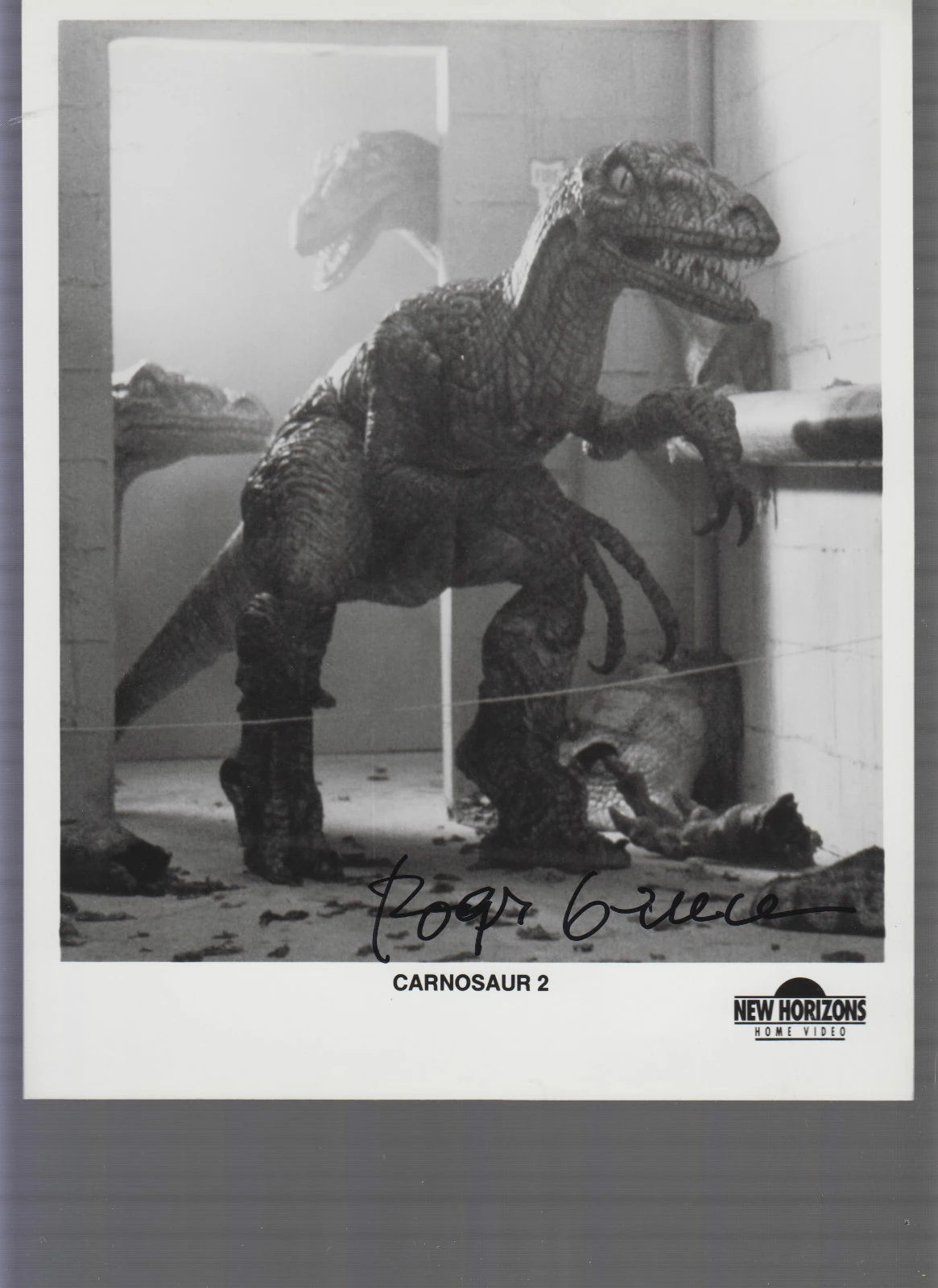 Velociraptor | Carnosaur Wiki | Fandom