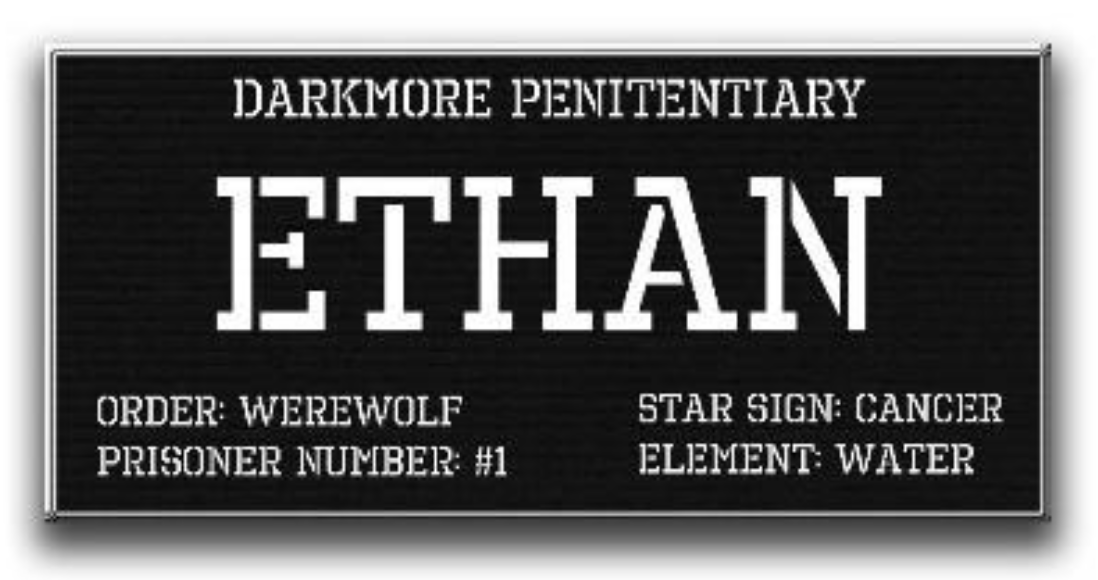 Ethan Shadowbrook Solaria Wiki Fandom
