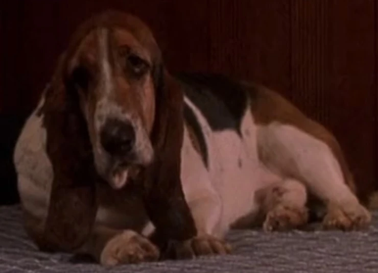 Walter (The Rage) | Carrie Wiki | Fandom