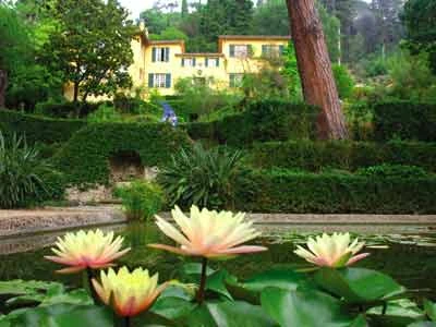 Ferrard Gardens | Country Wiki | Fandom