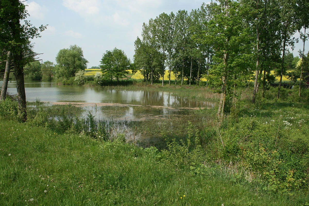 Kleinebeek (river) | Country Wiki | Fandom