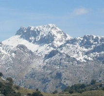 Bosberg | Country Wiki | Fandom