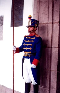 Royal Guard | Country Wiki | Fandom