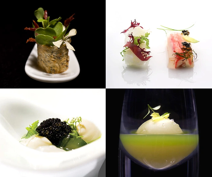 Synesthesia | Country Wiki | Fandom