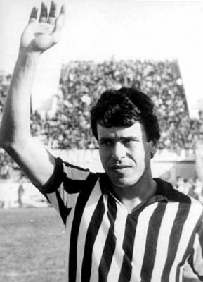 Hamid El-Zein | Country Wiki | Fandom