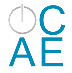 CAE Institute | Country Wiki | Fandom