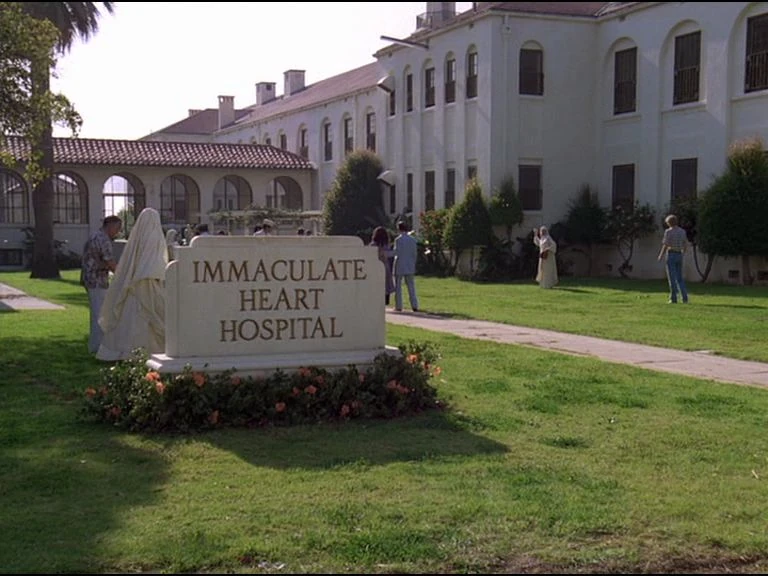 Immaculate Heart Hospital | Dynasty Wiki | Fandom