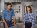 Denver Carrington | Dynasty Wiki | Fandom