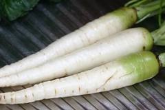 Belgian White | Carrot Wiki | Fandom