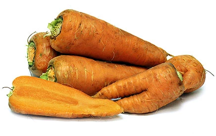 Chantenay | Carrot Wiki | Fandom