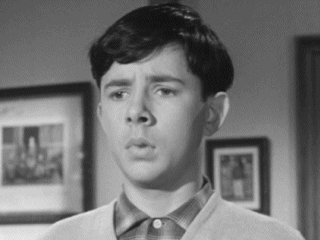 Robin Stevens | Carry On Wiki | Fandom