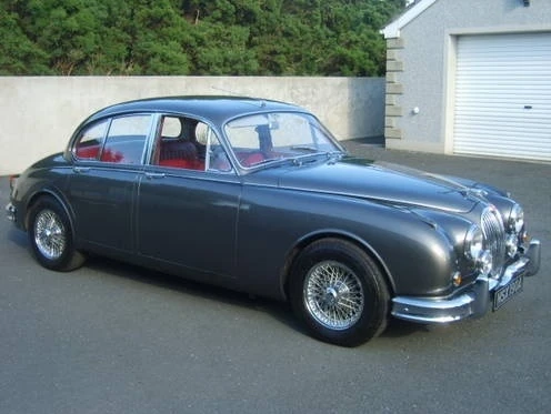 David | Cars species Wikia | Fandom