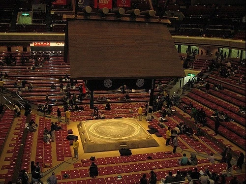 Sumo | Cars species Wikia | Fandom